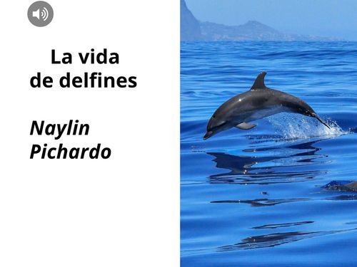 Book Creator | delfines