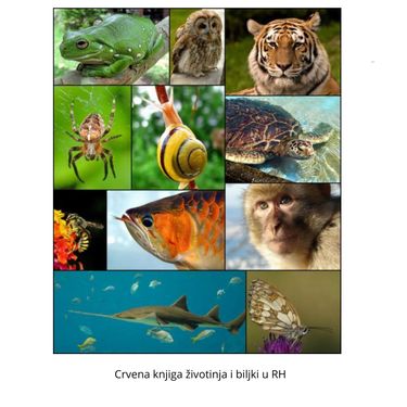 Book Creator | Crvena knjiga biljki i životinja u RH