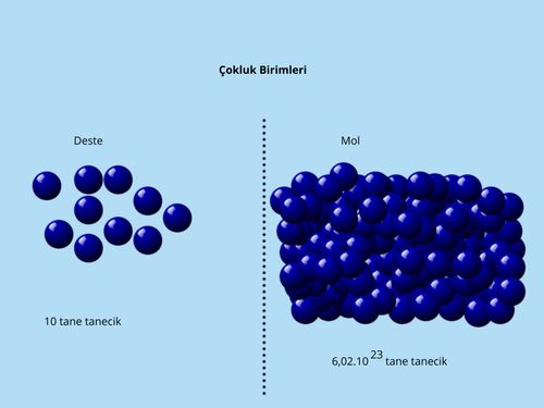 Book Creator | Mol-Tanecik İlişkisi