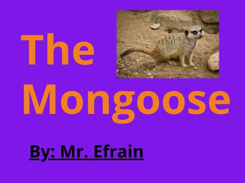 Book Creator | (copy) The Mongoose