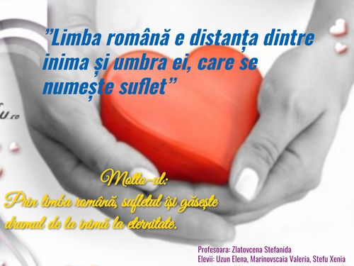 Book Creator | Limba română e distanța dintre inima și umbra ei, care se numește suflet.