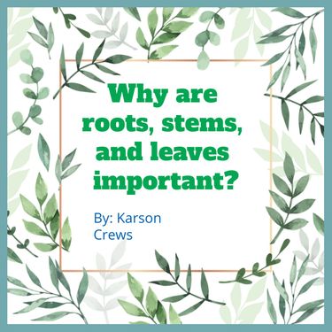 Book Creator | Why are roots, stems, and leaves important?