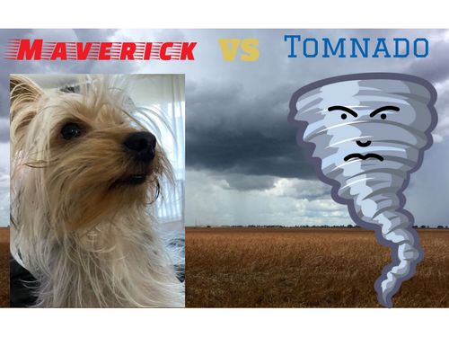 Book Creator | (copy) Maverick Vs Tomnado Science