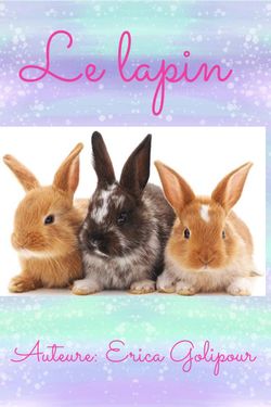 Book Creator | Le lapin