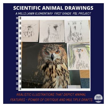 Book Creator | First Grade Project - Scientific Animal Drawings