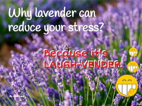 Book Creator | The Calming Lavender