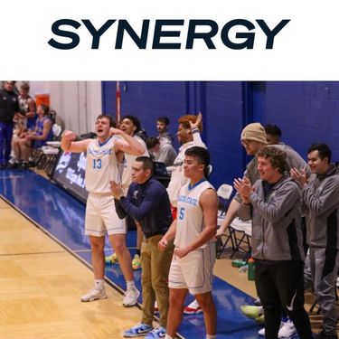 Book Creator | Synergy