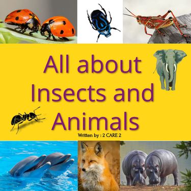 Book Creator | All About Insects and Animals