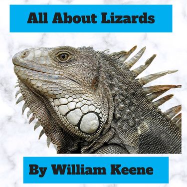 Book Creator | (copy) Lizards