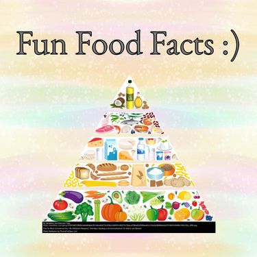 Book Creator | Fun Food Facts