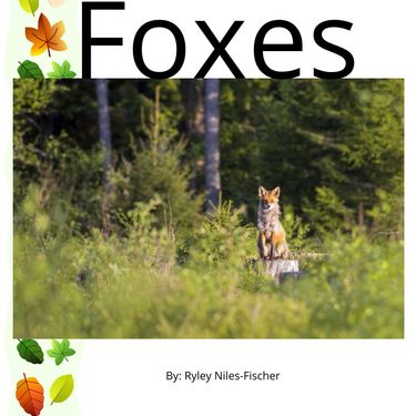 Book Creator | Foxes