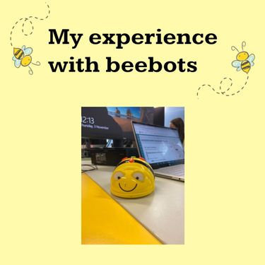 Book Creator | My experience with beebots
