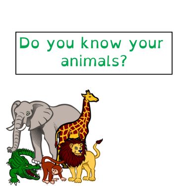 Book Creator | Do you know your animals