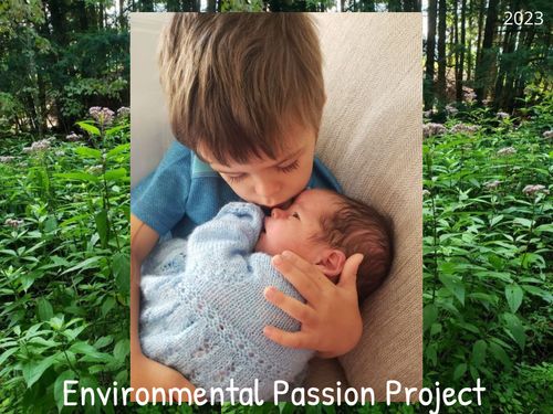 Book Creator | Environmental Passion Project