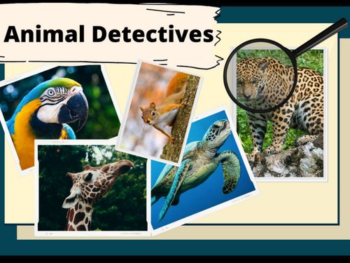 Book Creator | Animal Detectives