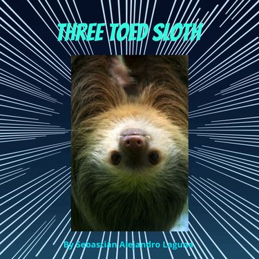 Book Creator | The Three Toed Sloths - Endangered Species