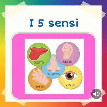 Book Creator | I 5 sensi - classi prime