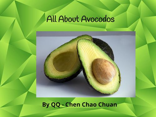 Book Creator | Avocado