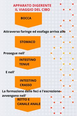 Book Creator | VIAGGIO DEL CIBO