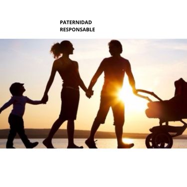 Book Creator | Paternidad Responsable