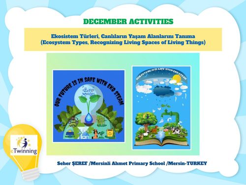 Book Creator | Ecosystem Types, Recognizing Living Spaces of Living Things