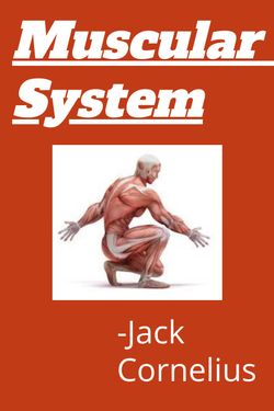 Book Creator | muscular system