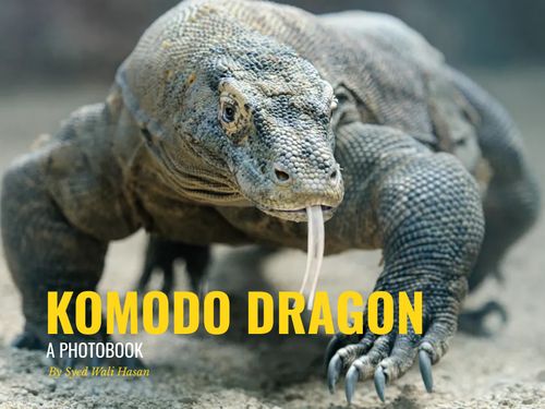 Book Creator | Komodo Dragon