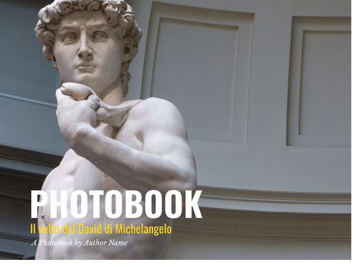 Book Creator | Il volto del David