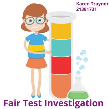 Book Creator | Fair Test Investigation