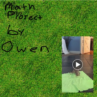 Book Creator | Owen's Graphing Story