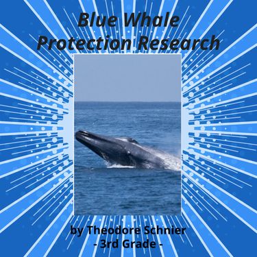 Book Creator | Blue Whale Protection Research