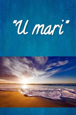 Book Creator | U mari