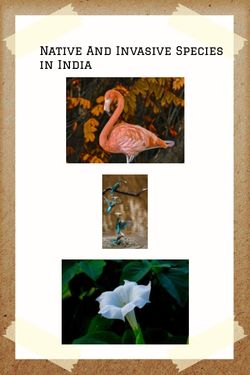 Book Creator | Native And Invasive species from India.