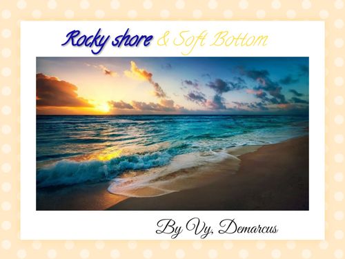 Book Creator | STUDENT SAMPLE Rockt vs Soft Bottom Intertidal Zone Project