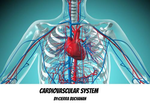 Book Creator | Cardiovascular system