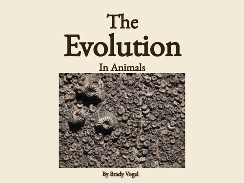 Book Creator | The Evolution in Animals