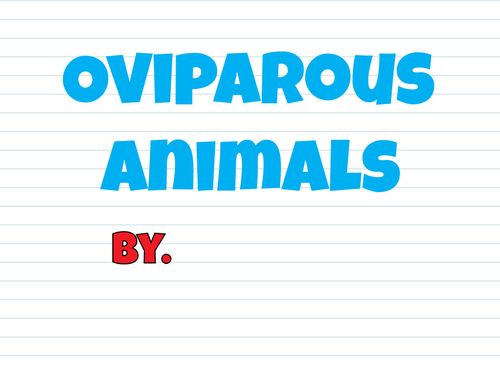Book Creator | Oviparous Animal Research Project Template