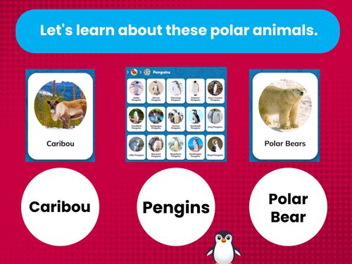 Book Creator | Polar Animal PebbleGo Research Choice Board Template
