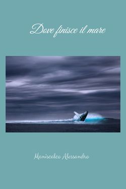 Book Creator | Dove finisce il mare