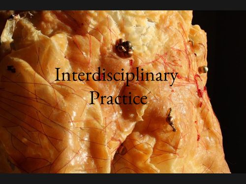 Book Creator | Interdisciplinary Project