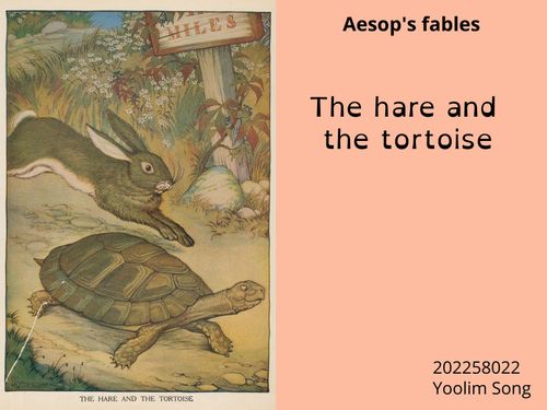 Book Creator | The hare and the tortoise