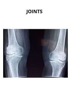 Book Creator | Joint Book