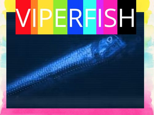 Book Creator | Viperfish