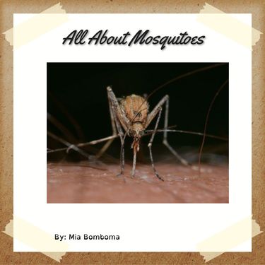 Book Creator | All About Mosquitoes