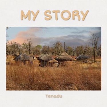 Book Creator | Tenadu's story