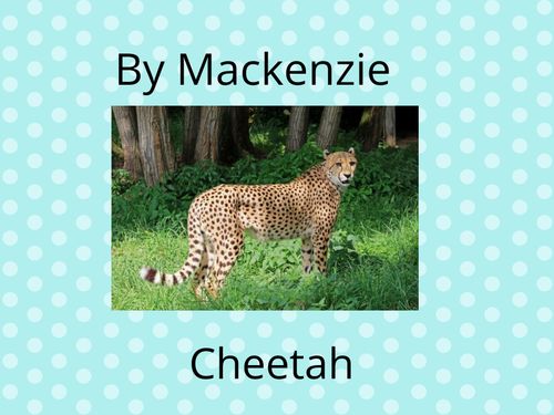 Book Creator | Cheetahs