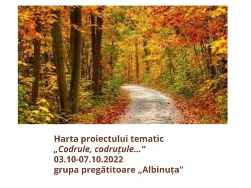 Book Creator | Codrule, codruțule...