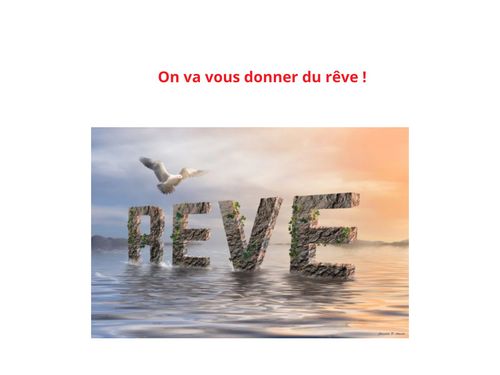 Book Creator | reve