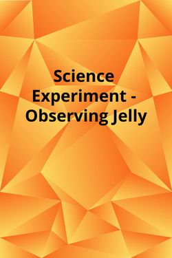 Book Creator | Science Experiment