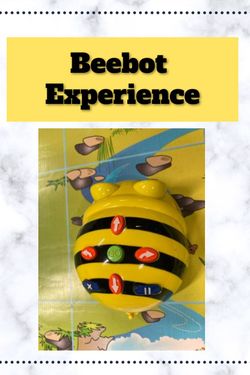 Book Creator | (copy) Beebot Experience